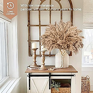 HUMINBO Pampas-Grass Pompous Dried Pampass Plants Fluffy Pompas Grasses 30 Stems Small Pompus Short