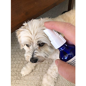 Clarity - Natural, Electrolyte, Odorless Pet Supplement That Improves Cognition and The Thinking Process (Dropper, 1 Ounce)