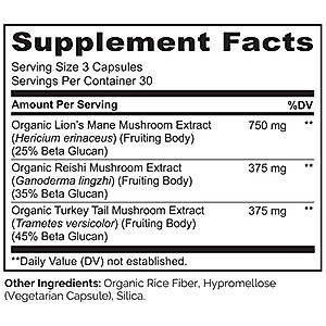 NATURELO Mushroom Supplement – Brain & Immune Health Blend with Lion’s Mane, Reishi, Turkey Tail – 90 Vegan Friendly Capsules