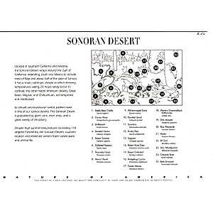 Postage Stamp US Scott 3293 Sonoran Desert Full Sheet of Ten 33 Cent Stamps