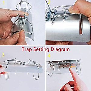 DSQSTMR Mole Traps That Work Gopher Squirrel Spring Best Rat Trap Outdoor Vole for Lawns Easy Reusable Smart Snare Trapping