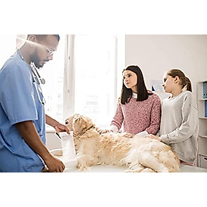 Gauze Rolls Pack of 24 – Premium Quality Lint and Latex-Free 4 inches x 4.1 Yards Conforming Stretch Bandages Designed for Effective Wound Care & Comfort - Ideal for use as a Mummy wrap