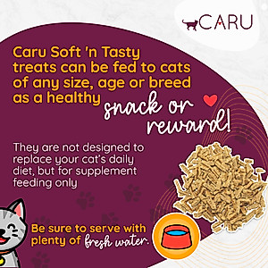 CARU - Soft ‘n Tasty Baked Bites - Chicken Bites Cat Treats - Flavorful All-Natural Treats - 3 oz.