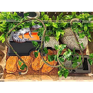 Woyrise Reptile Hide Box with Sink Humidifier Gecko Hideout Cave Lizards Hideaway with Flexible Vine Decor and Bowl for Bearded Dragons Lizards Spiders Snakes