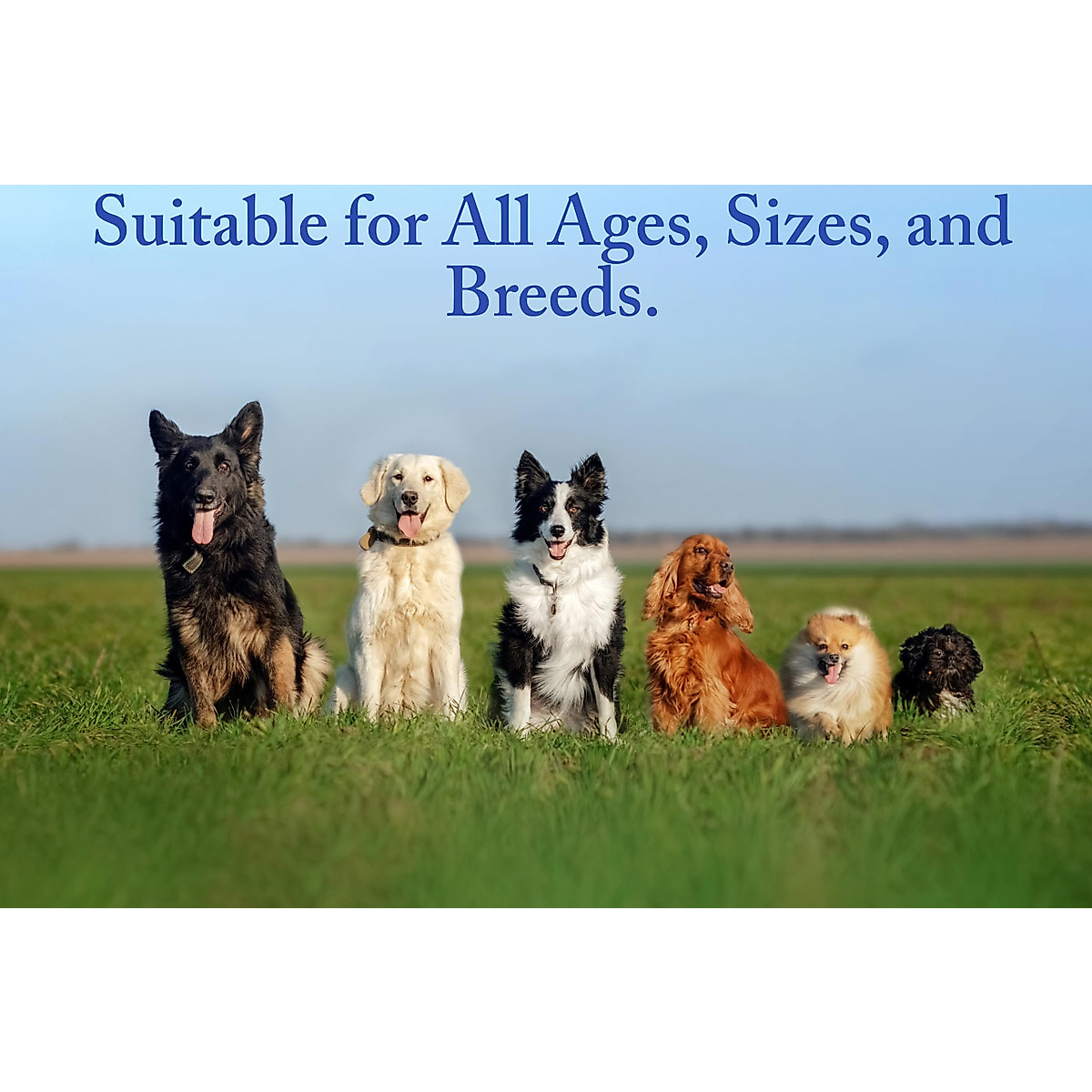 Pets Ultra Skin & Coat Supplement for Dogs 90 Shew Treats, Bacon Flavor, Flax Seed Oil Omega 3,6 and 9, Wild Alaska Salmon Oil,Biotin, Skin Allergy, Itch Relief, Hot Spots Treatment.