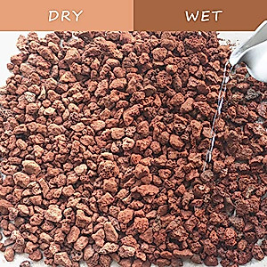 CARURBODY Red Lava Rocks for Plants -100% Pure Volcanic Rock No Dyes or Chemicals-Best Lava Stones Top Dressing for Cacti Succulents Plants,Bonsai