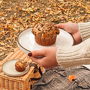 Mora Ceramic Flat Plates Set of 6-8 in - The Dessert, Salad, Appetizer, Small Lunch, etc Plate. Microwave, Oven, and Dishwasher Safe, Scratch Resistant. Kitchen Porcelain Dish - Vanilla White