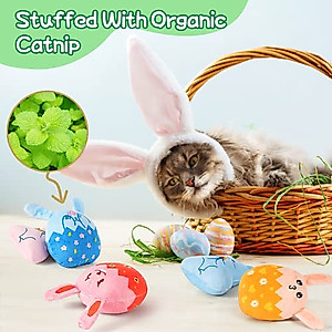 Biubiucat Catnip Toys Interactive Cats Nip Toy/Kitten Chew Plush Gift/Best Play Kick Stuff/Kitty Stuffed Teething Pillow/Cute and Soft Dental Gifts for Indoor Kittens (Bunny)