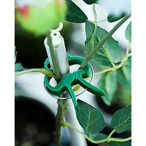 Plant Clips 80 Piece-Garden Clip Plant 2 Sizes Reusable Tomato Clip, Multipurpose Plant Vine Clips for Roses, Sturdy Cucumbers Orchid Clips Plant Support Adjustable Clips Green(30 Large + 50 Small)