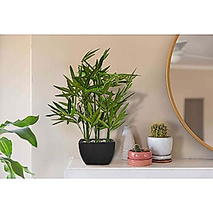 Westcharm 18 inch Tall Faux Bamboo Plant - Lush Artificial Bamboo in Black Polyresin Pot with Decorative River Stones for Home Office Kitchen Living Room Countertop Mantel