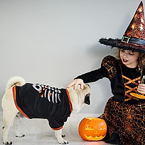 SGQCAR 4Pieces Dog Halloween Shirts Soft Cotton Ghost Skeletons Dog T-Shirt Funny Pet Pumpkin Head Costume for Small Dogs Puppy Cosplay Apparel (Pumpkin, Large)