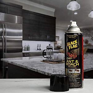 Black Flag Dry Ant And Roach Killer 9 Ounces, Aerosol Spray, Dry Formula, Plain, 1-Count