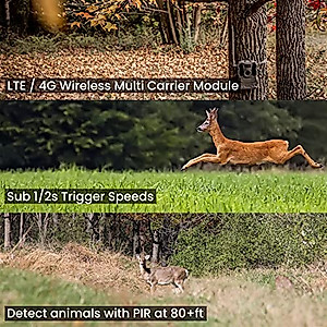 TACTACAM Reveal XB Cellular Trail Camera, No Glow - Verizon & AT&T with Steel Case