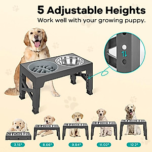 GUOOUG Elevated Dog Bowls with 2 Stainless Steel Bowls Raised Dog Bowl Adjusts to 5 Heights 3.1", 9", 10", 11", 12" Dog Bowl Stand for Large Medium Small Dogs Pets