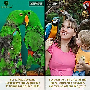 SunGrow Sola Atta Foraging Balls, 2”, White Soft Shred Parrot Chews, Bird Chewing Accessories for Conure, Budgie, Parakeet, Cockatiel, Rabbits, Hamsters, and Other Small Pets, 3 Pcs/Pack