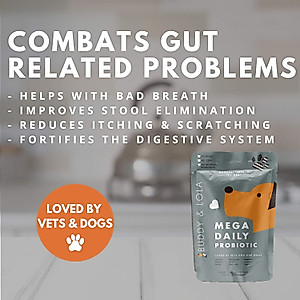 Buddy & Lola Dogs Chews for All Breeds and Sizes - Natural Dog Probiotics Improve Digestion, Help The Immune System, Settle an Upset Stomach Made in USA