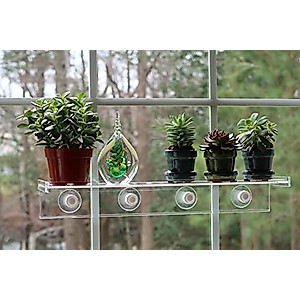 LaBrinx Designs Extra Large Suction Cup Shelf - Live Plants, Windows, and Bathrooms