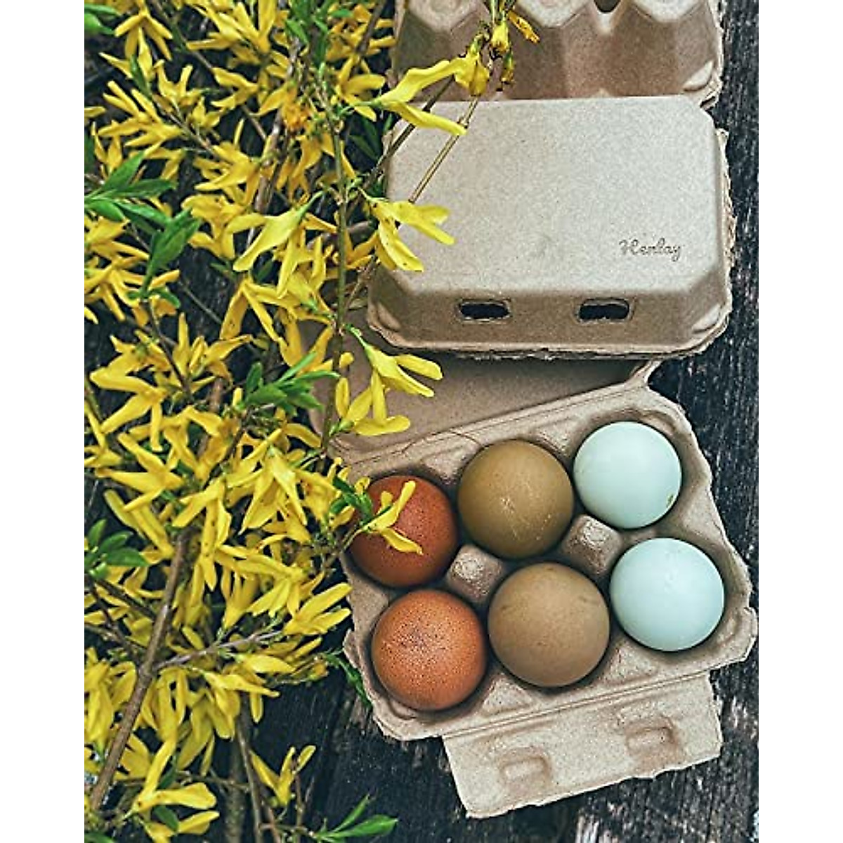 Half Dozen Egg Cartons- Henlay Blank Flat Top Six Pack (20)