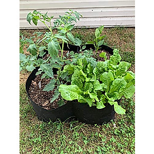 2 Pack Fabric Raised Garden Beds 2FT X 2FT 4 Holes Square Fabric Raised Planting Bed for Vegetables Outdoor and Indoor