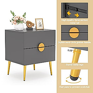 Tribesigns Nightstands Set of 2, Mid-Century Modern Nightstand with 2 Drawers, Bedside Tables with Champagne Metal Legs, End Table for Bedroom