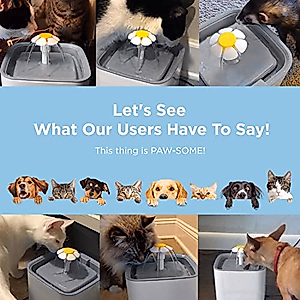 Ciays Automatic Pet Water Fountain, 84oz/2.5L Water Dispenser with 3 Replacement Filters for Cats, Dogs, Multiple Pets