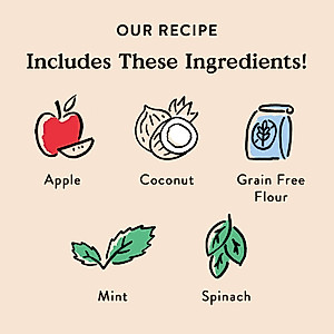 Bocce’s Bakery Dailies Brushy Sticks to Support Oral Health & Fresh Breath, Wheat-Free Dental Bars for Dogs, Made with Real Ingredients, Baked in the USA, All-Natural Coconut & Mint Recipe, Small Dogs