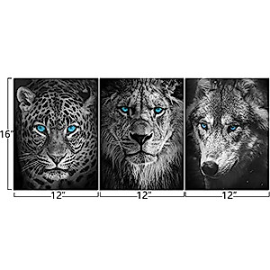 QTESPEII Black and White Animals Pictures Wall Art Decor for Bathroom Leopard Lion Wolf Head with Blue Eyes Paintings Canvas Prints Wildlife Artwork Framed Modern Home Office Decor 12"x16" 3 Panels