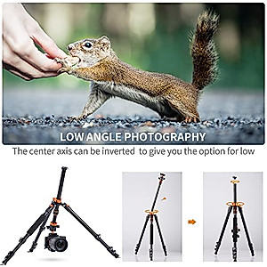K&F Concept 78 inch Camera Tripod for DSLR Compact Aluminum Tripod with 360 Degree Ball Head and 10KG Load for Travel and Work K234A7+BH-28L (S210)