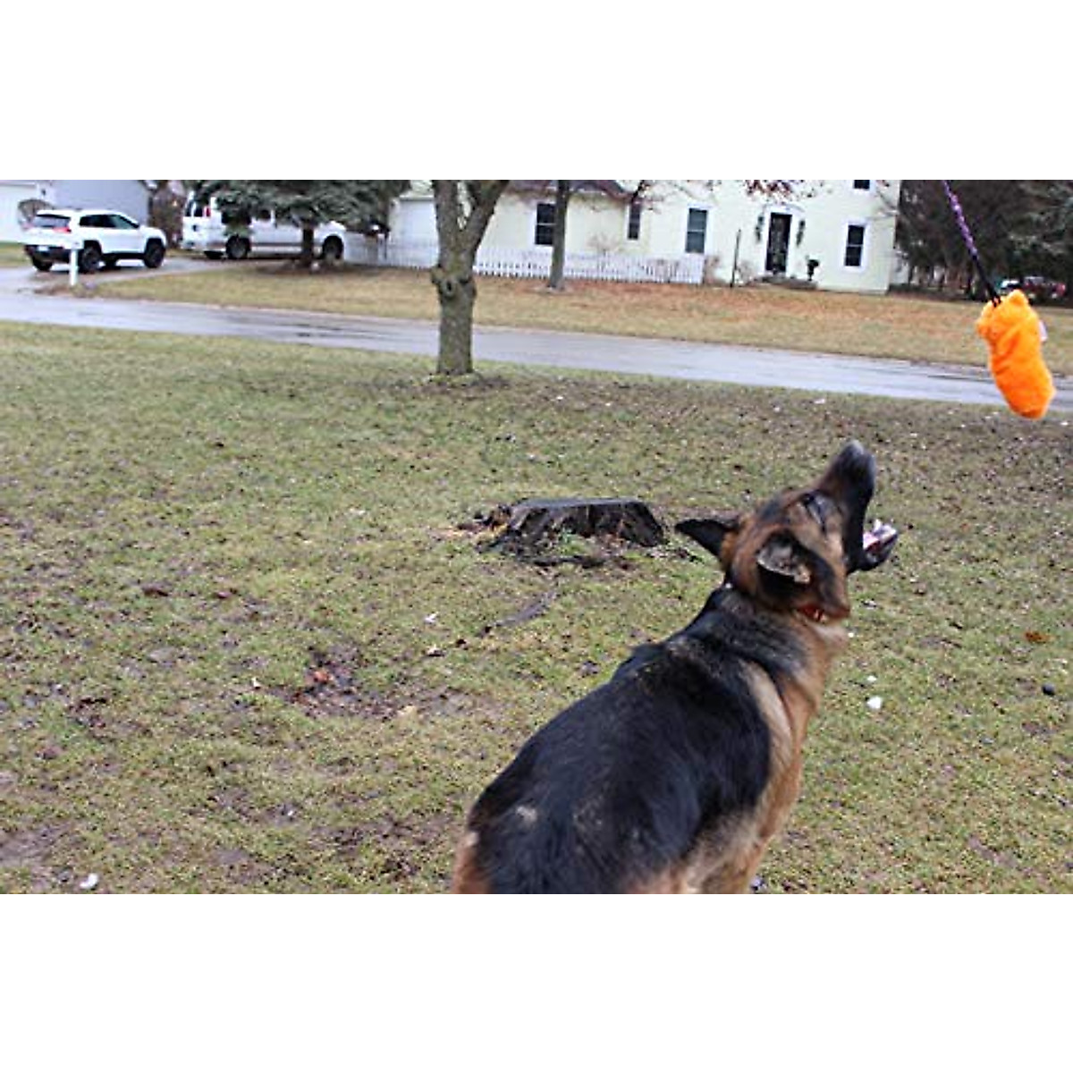 Jalousie Collapsible Dog Flirt Pole with Three Squeaky Toys Plush Toys Dog Teaser Wand Chase it Dog Toy with Refills (Dog Flirt Pole w/ Three Toys) - Upgraded Rope