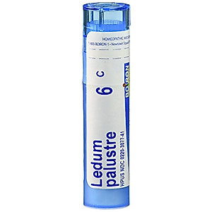 Boiron Ledum Palustre 6c, Blue, 80 Count