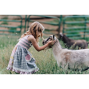 Caprina by Canus Liquid Hand Soap Pump, Lavender Oil, 8.5 Ounce