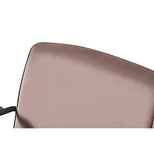 Epinki Cloth Leisure, Black Metal Frame Recliner Chair, for Living Room and Bedroom, Brown Furniture