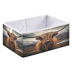 Haskirky Highland Cow Foldable Collapsible Storage Box Bins,11x11x11 Inch Cubes Baskets Fabric Storage Bins with Handles for Shelves Nursery Closet Home Decor