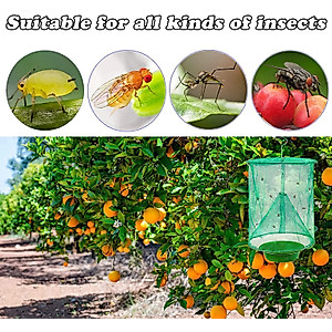 6 Pack Ranch Fly Trap, 2024 New Hanging Fly Catcher, The Most Effective Trap Ever Made with Pots, Cage Catcher for Indoor and Outdoor, Family Farms, Park, Restaurants