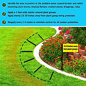 Nature's MACE Granular Deer Repellent 2.5lb, Repel Deer from Your Garden, Yard, Flowers, Protect Plants Fast, Create a Deer Free Barrier, Deer Repellent for Plants, Deer and Rabbit Repellent