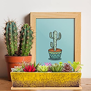 ARTKETTY Succulent Pots - 12.1 Inch Large Succulent Planters Pots with Drainage Tray, Long Rectangle Ceramic Pots for Indoor Cactus/Succulent Plants Shallow Bonsai Window Box for Home Garden Decor