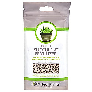 Succulent and Cactus Fertilizer in 5oz. Bag | Long Lasting Gentle Plant Food Formula for All Live Succulents, Cacti, and Other Desert Houseplants