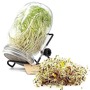 LIVEBAY Sprouting Jar Kit Stainless Steel Kitchen Sprouting Lids and Stands Seed Sprouter Set Organic Healthy Fresh 1L Wide Mouth Mason Jar for Broccoli, Alfalfa, Mung Beans