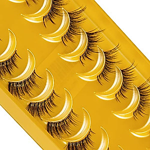 HICOCU Half False Eyelashes Clear Band Russian Strip Lashes D DD Curl Fluffy Mink Lashes Natural Wispy Mink Eye Lashes Pack Reusable Fake Eyelashes Extension 10 Pairs… (HAY-008S)