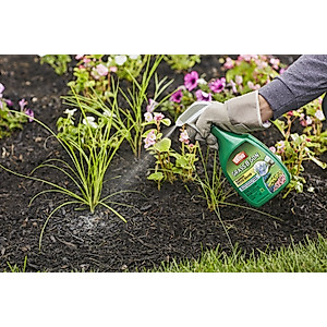 Ortho 0438580 Grass B Gon Garden Grass Killer Ready-to-Use, 24-Ounce (2 Pack)