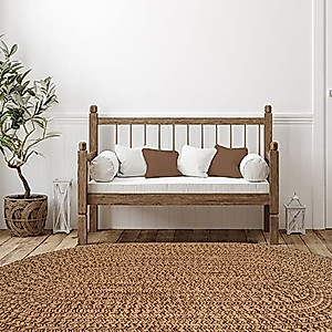 Capel Rugs Claire Washable Reversible Indoor Outdoor 4' x 6' Oval Chestnut Braided Area Rug Made in The USA