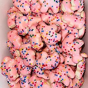 Mini Circus Animal Cookie Cutter 5 Piece Set from The Cookie Cutter Shop - Mini Elephant, Hippo, Giraffe Cookie Cutters – Tin Plated Steel Cookie Cutters