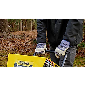 Champion Power Equipment 200905 3-Inch Portable Chipper-Shredder with Collection Bag