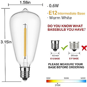 Couah 10 Pack Edison LED Light Bulbs, 0.6 watt E12 Screw Base Replacement Bulbs, LED Shatterproof Bulbs ST38 Clear Plastic Light Bulbs for Outdoor Patio ST38 String Lights, Warm White