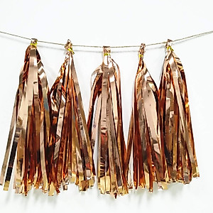 20 pcs Shiny Paper Tassels Fringe Banner, DIY Kit Party Metallic Foil Hanging Garland, Table Decor, Party Wall Backdrop Decorations, for Bachelorette Wedding Christmas Halloween New Year (Rose Gold)