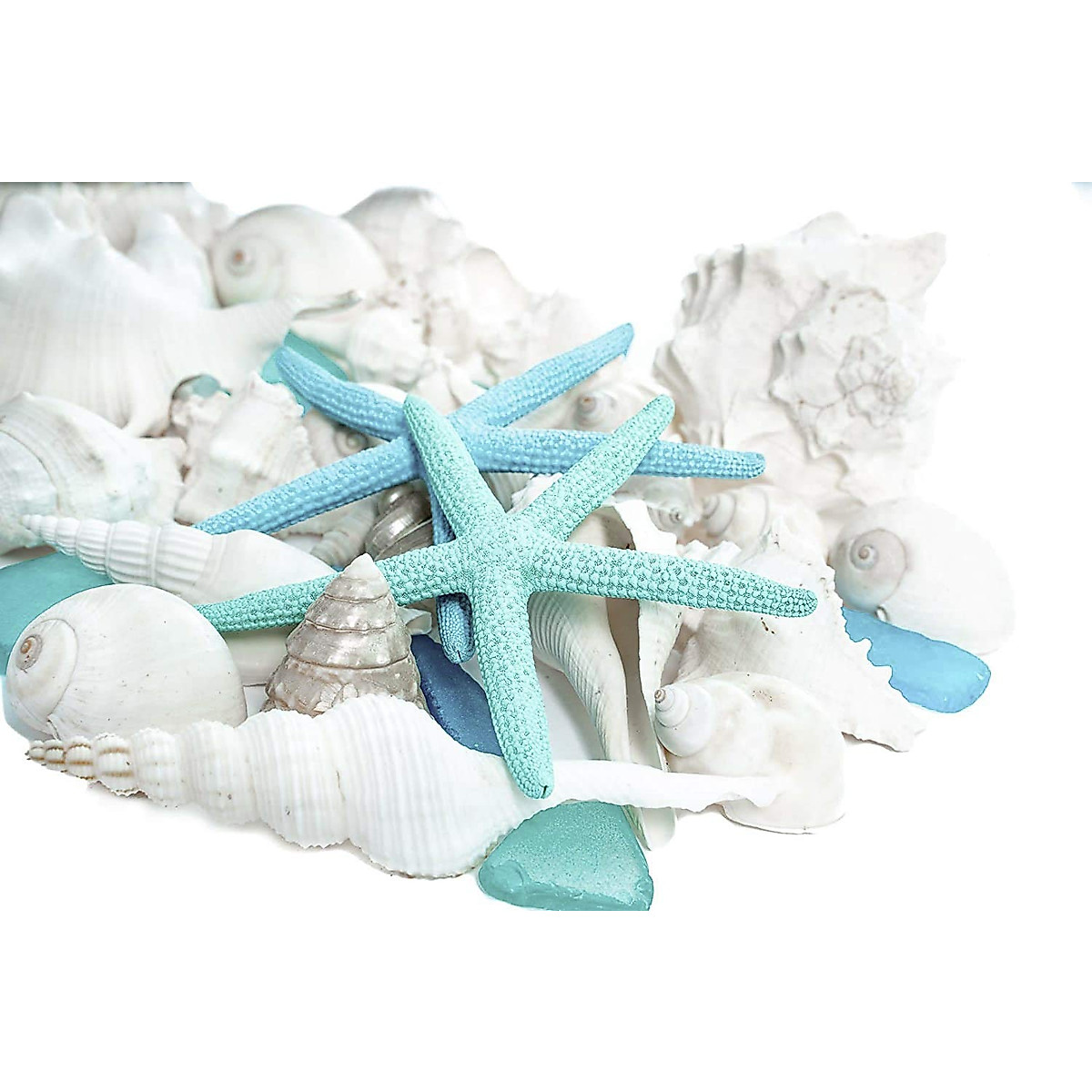 Real Mixed Beach Seashells with Blue & Green Starfish & Aqua and Blue Sea Glass | White Decorative Sea Shell Décor & Blue Seaglass Pieces | Seashell Wedding | Plus Free Nautical eBook by Joseph Rains