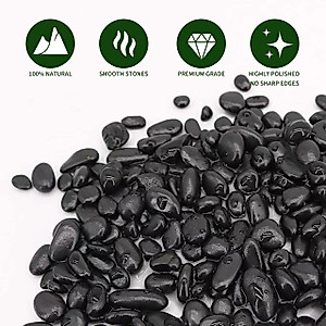 3.3 lb Black Rock, Decorative Polished Pebbles for Plants, Landscapes, Gardens, Fish Tanks, vase fillings, etc, 0.1 to 0.3 inches