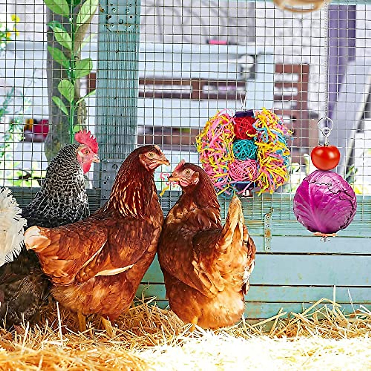 Ohanniewa Chicken Toys for Hens Chicken Xylophone Toy Chicken Mirror and Shredding Foraging Toys for Coop
