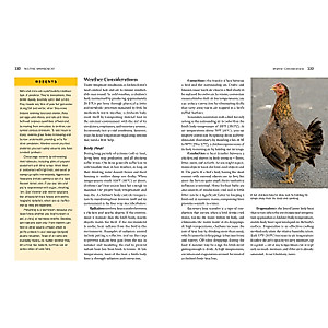 Storey's Guide to Raising Chickens, 4th Edition: Breed Selection, Facilities, Feeding, Health Care, Managing Layers & Meat Birds