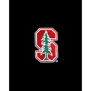 Men's Collegiate Polyester Mesh Team Icon Polo, Stanford Cardinal, Medium